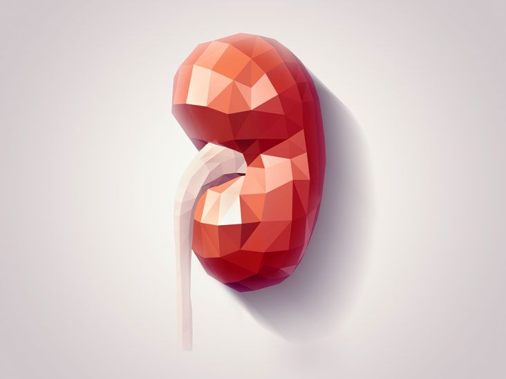 Kidney Removal: Reasons, Types, and Benefits