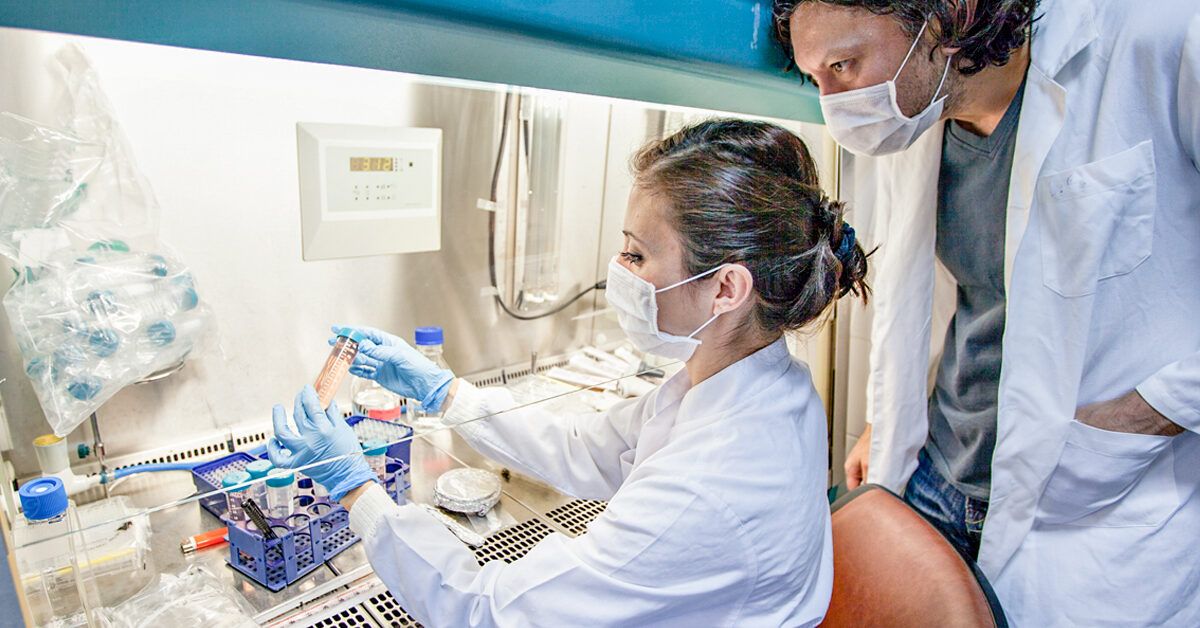 Is Chronic Lymphocytic Leukemia (CLL) Curable?