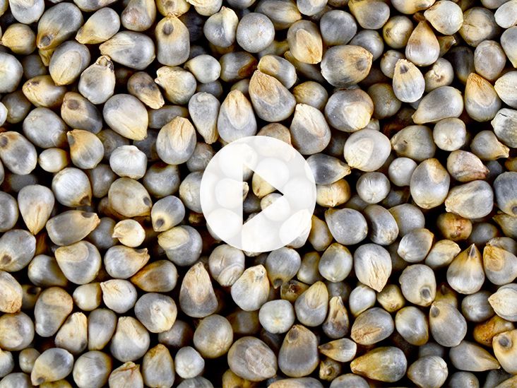 Bajra: Overview and Health Benefits