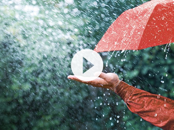 Rainwater: Is it Safe to Drink?