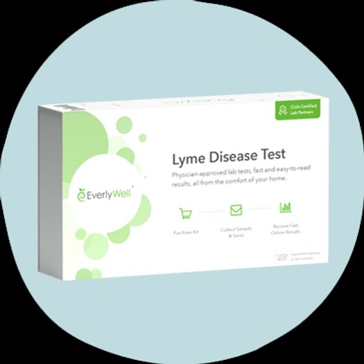 Everlywell 2023 Review: Pros, Cons, and More