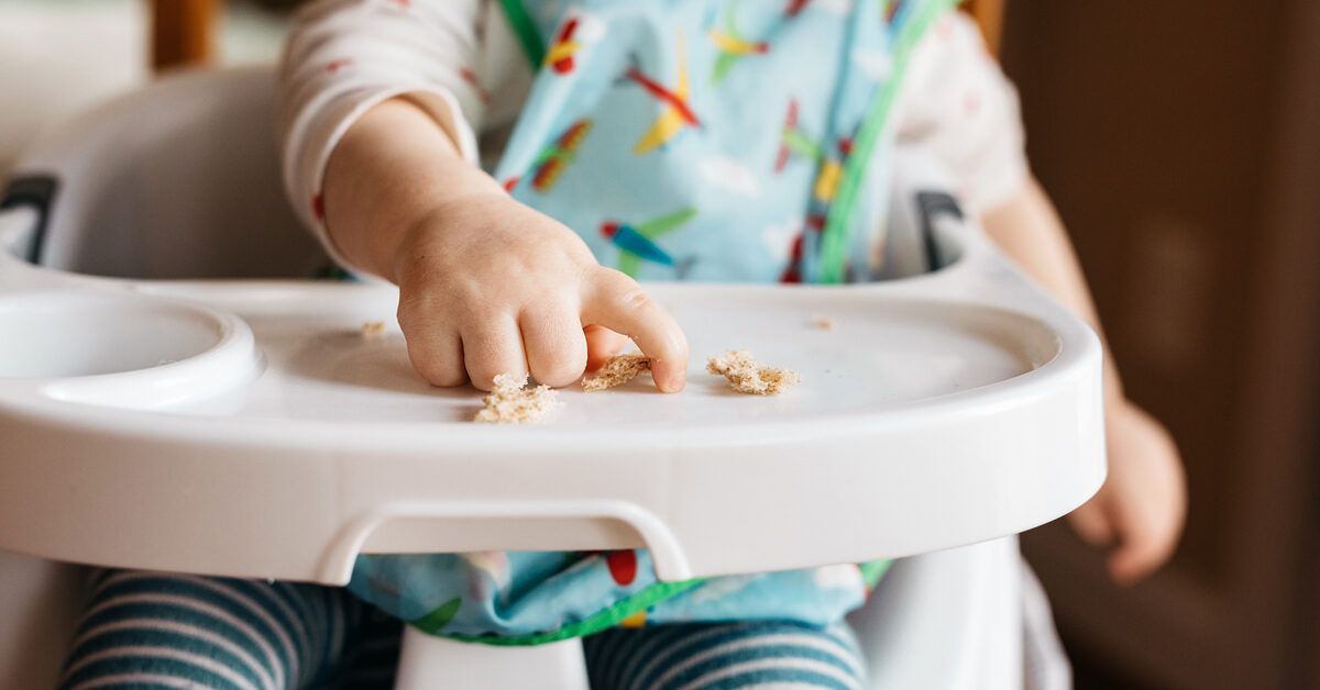 Bread for Babies: When to Introduce, Types, Baby-Led Weaning