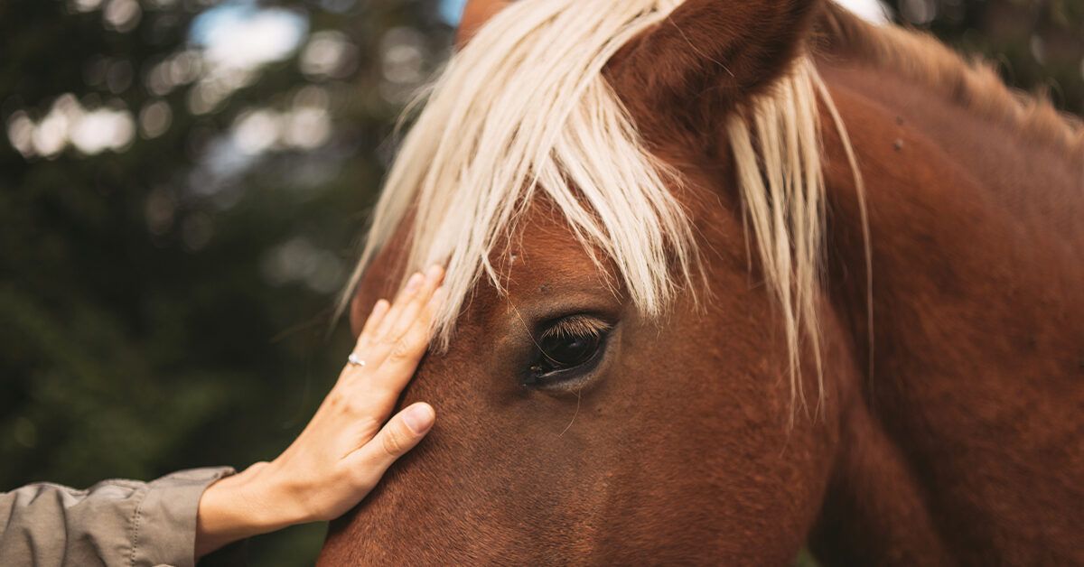 Feel-Good Fitness: Horseback Riding