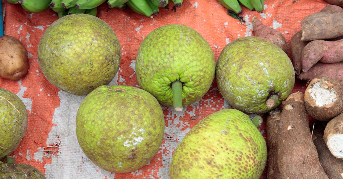 What Is Healthy Eating Without Cultural Foods?