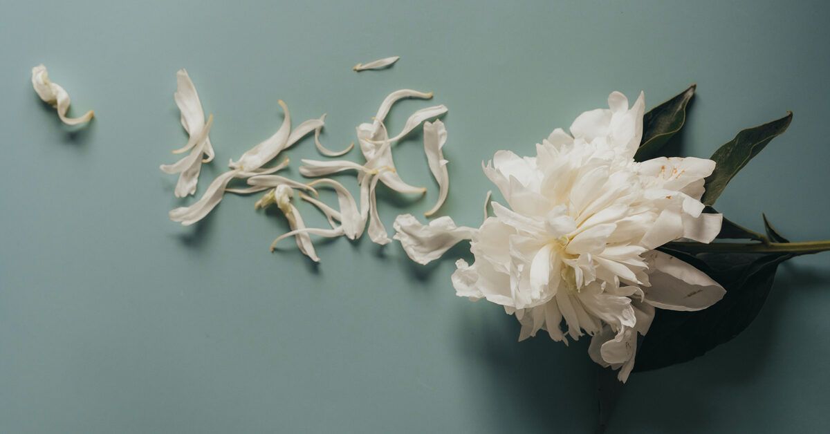 Final Stages of Acute Myeloid Leukemia: Symptoms & Support