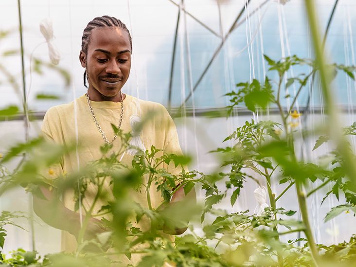 5 Eco-Minded Farms and Orgs in Trinidad and Tobago
