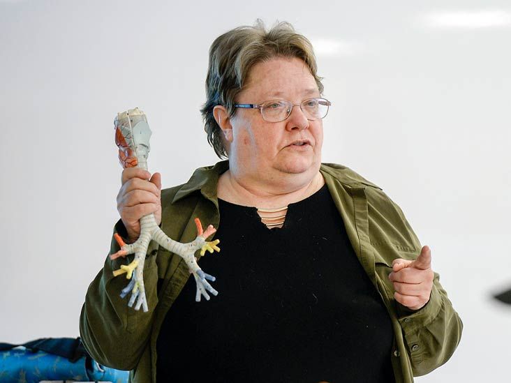 Bronchi: What Are They, Function, Anatomy, and More