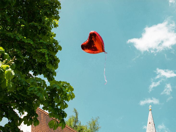 Left Ventricular Diastolic Dysfunction: Causes and Treatments