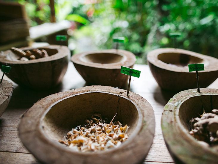 Bush Medicine: Intro to Traditional Practices