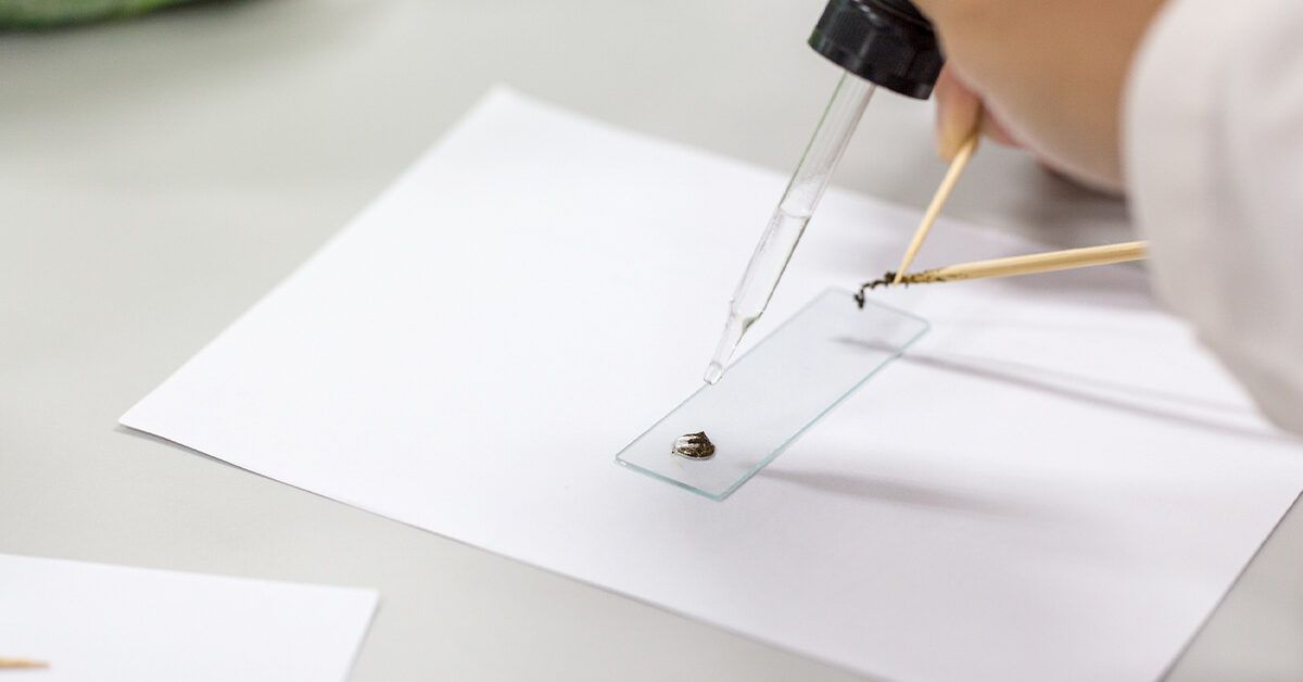 Gastroenteritis and Stool Culture: Why It's Needed and How It Helps