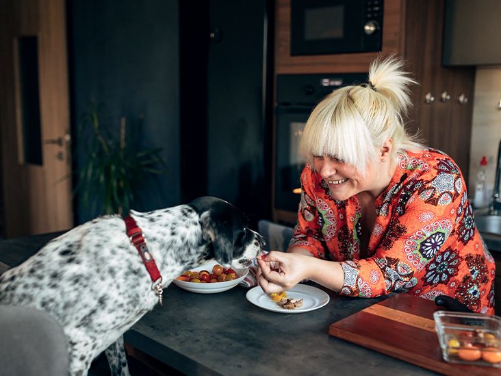 Human Foods Dogs Can and Can't Eat