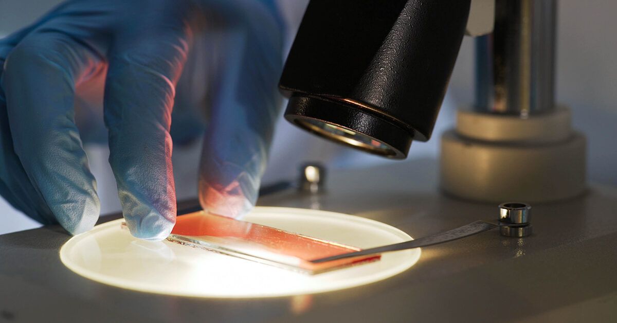 Molecular Testing: How it Works, Its Uses, and Advancements