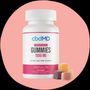 cbdMD Review for 2024: Pros, Cons, Best Products