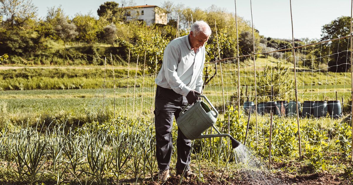 Do Parkinson's Disease Symptoms Come and Go?