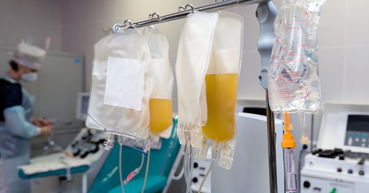 How Does Giving Plasma Work