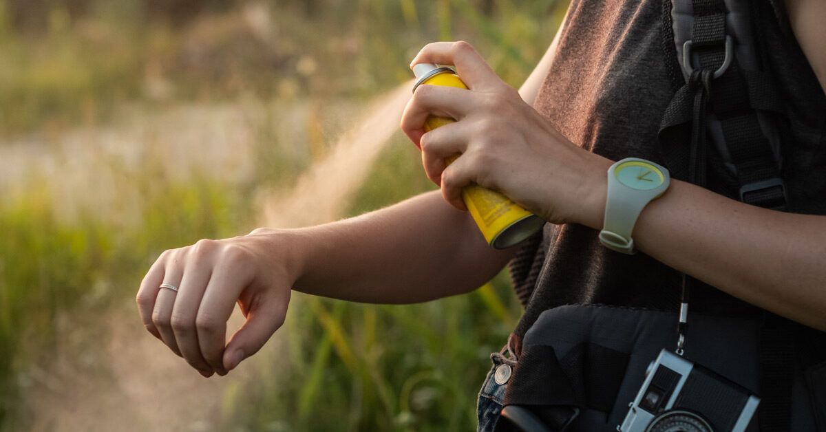 Ticks vs. Lice: How to Tell Them Apart and Health Risks