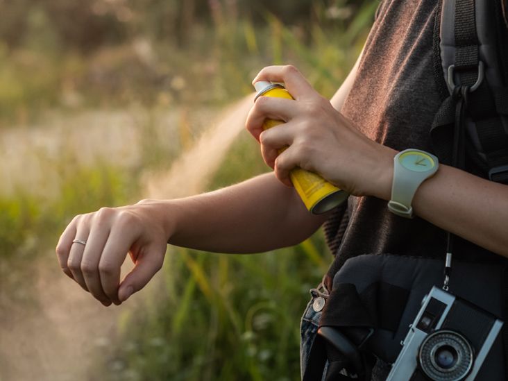 Ticks vs. Lice: How to Tell Them Apart and Health Risks