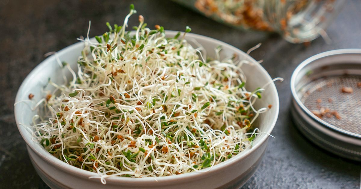 Health Benefits of Alfalfa