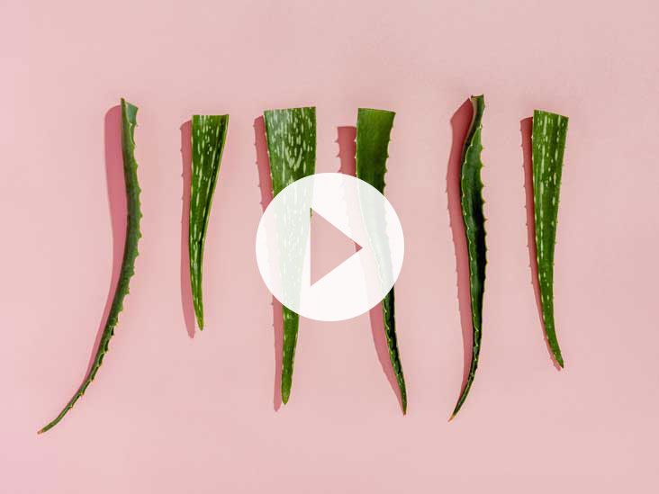 Can You Eat Aloe Vera? What to Know