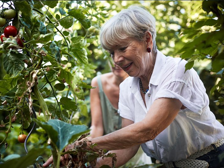 Maintaining a Stable Weight May be Key to Living Past 90