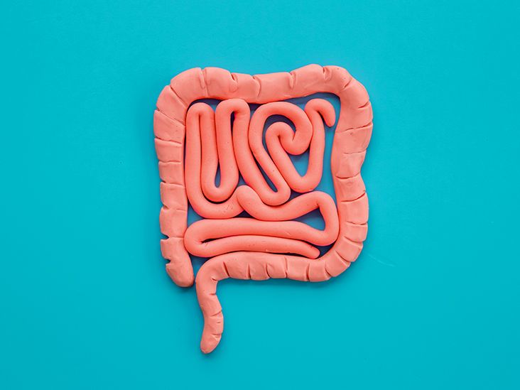 What’s the Difference Between Colitis and Ulcerative Colitis?