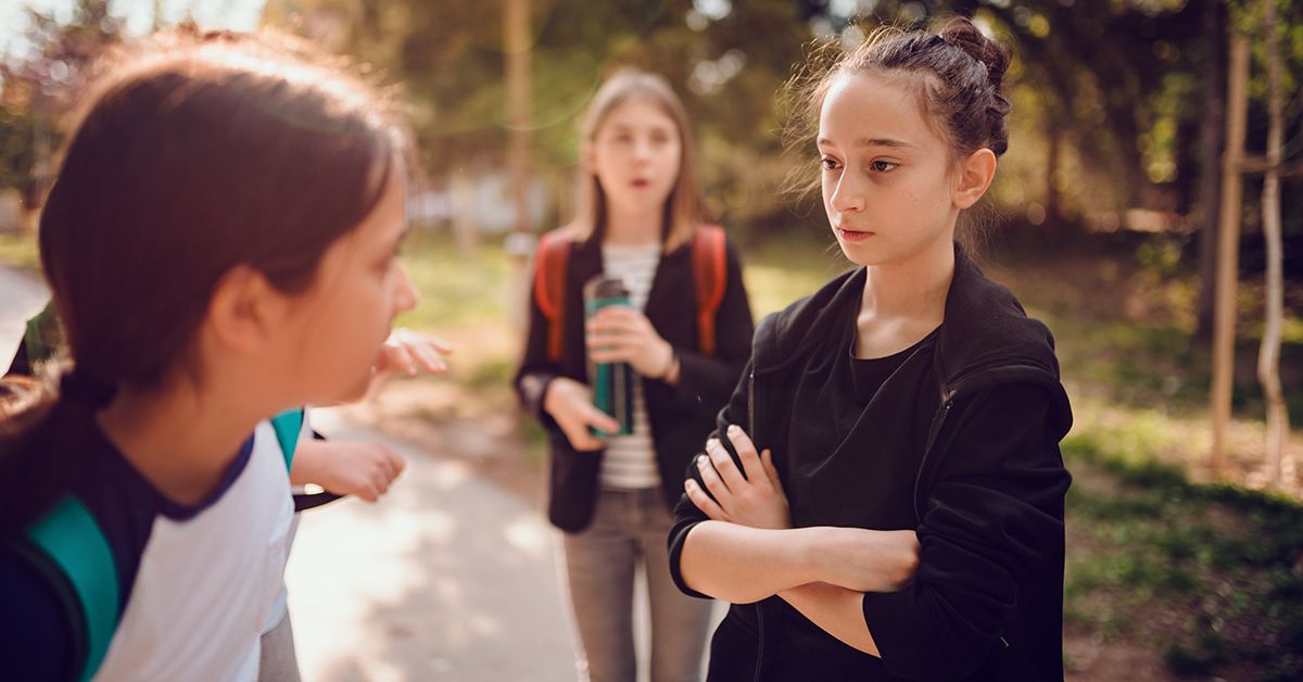 What Is a Common Risk Factor for Bullying?