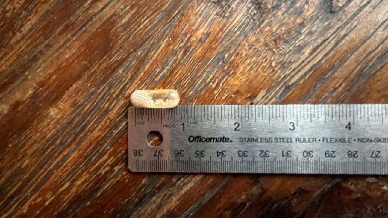 A Dietitian's Take on Ritual Vitamins: A 2025 Review