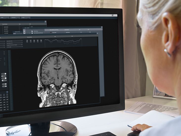 Gray Matter vs. White Matter: Differences in Brain Function