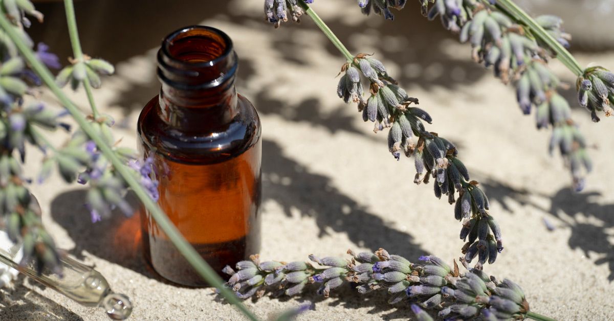 Lavender Oil for Skin: Uses and Benefits