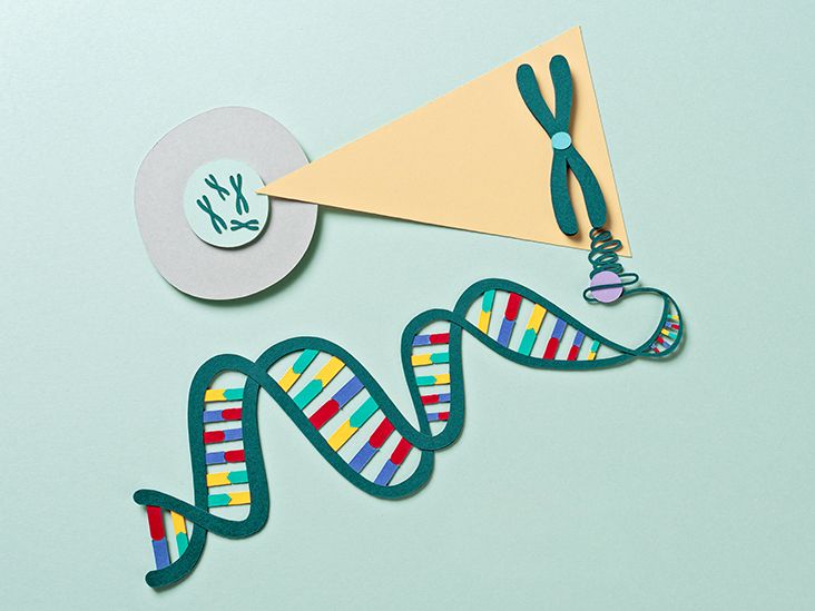 Are Personality Disorders Genetics? Personality and Inheritance