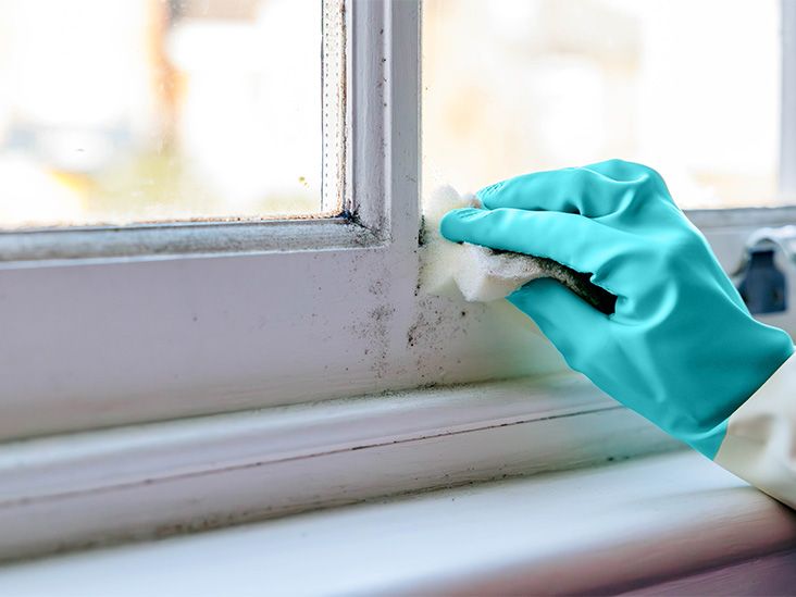 Can Mold Exposure Cause Constipation? What to Know