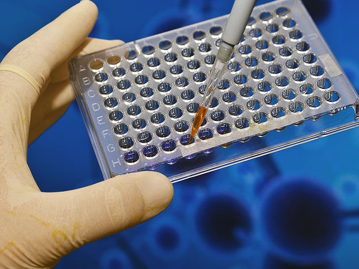 Tourette Syndrome and Genetics: Inheritance and Risk Factors
