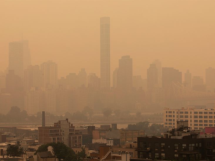 Air Pollution and Bronchitis: What You Need to Know