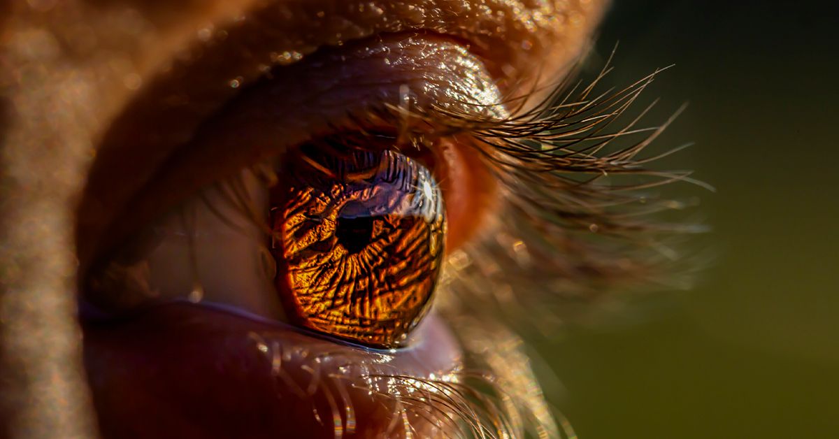 Crohn’s Disease Eyes: How IBD Can Affect Ocular Conditions