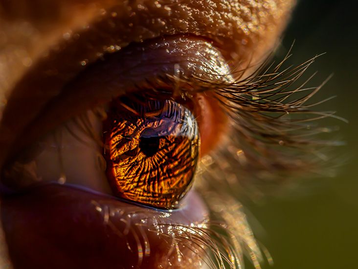 Crohn’s Disease Eyes: How IBD Can Affect Ocular Conditions