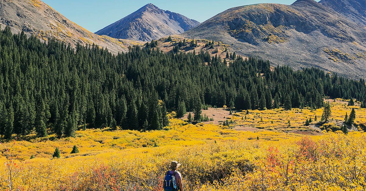 Clear Spring Health Medicare Advantage Plans 2025