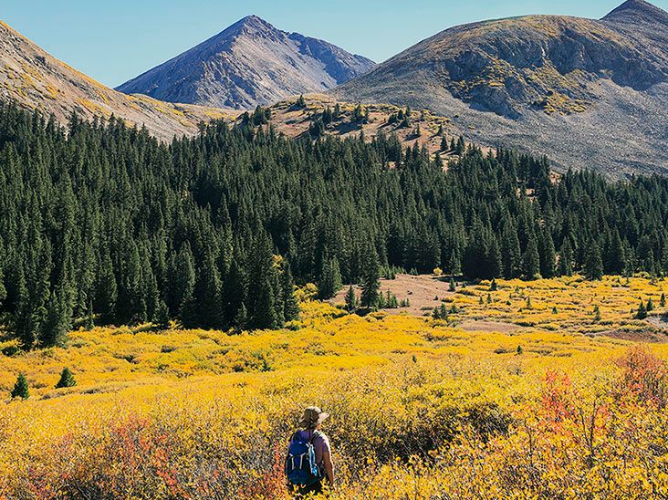 Clear Spring Health Medicare Advantage Plans 2025