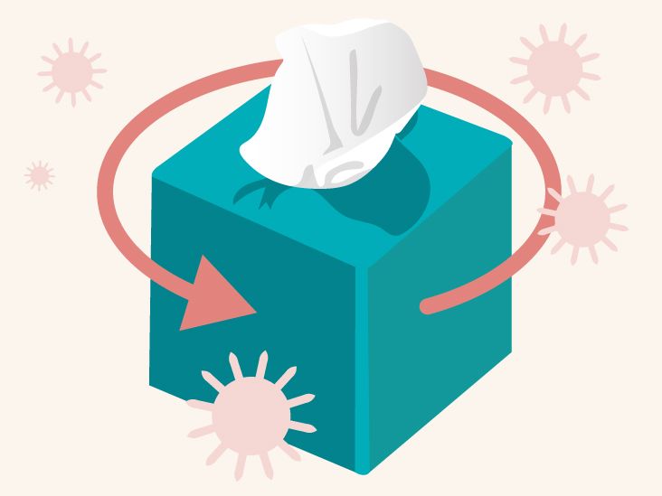 A Look at the Life Cycle of a Cold