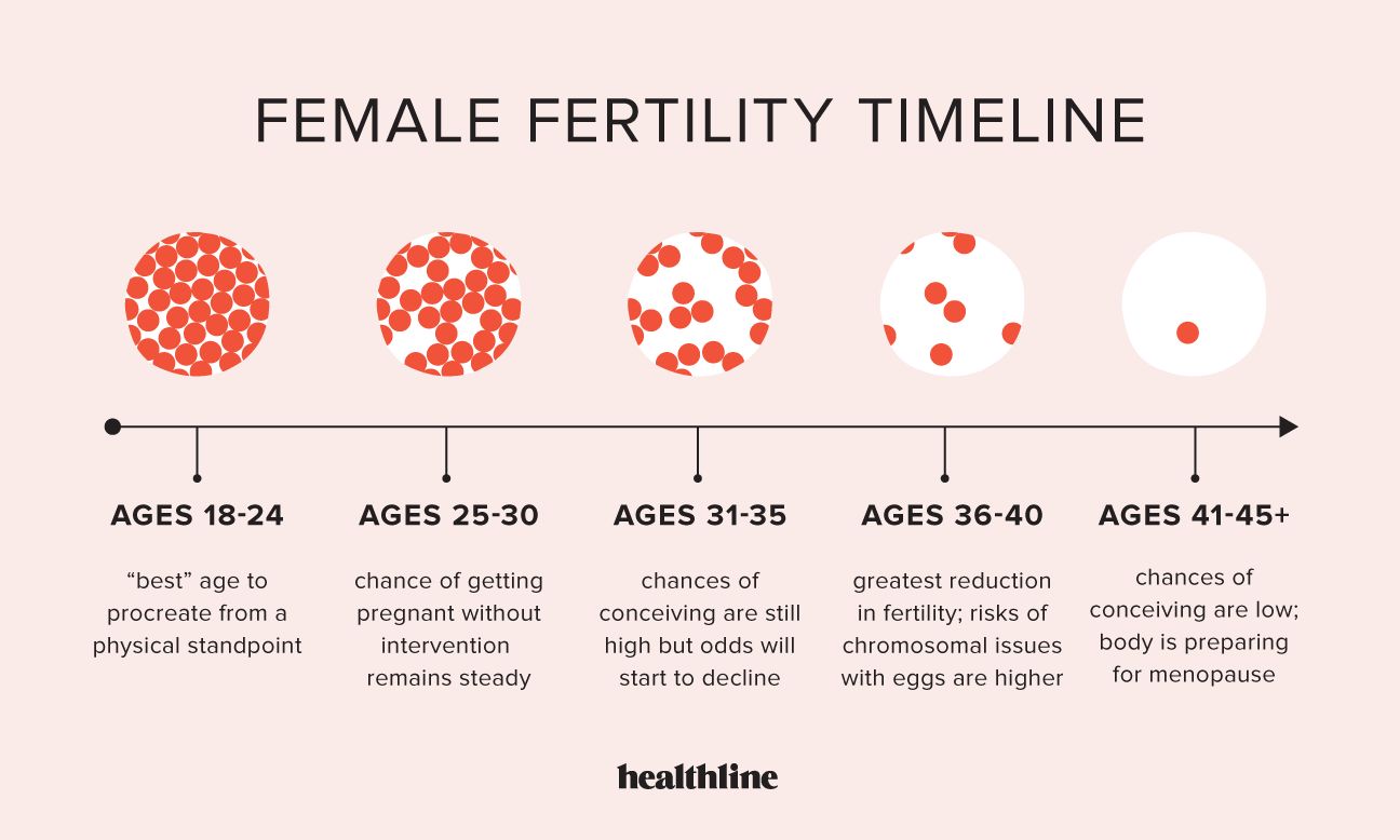 A Breakdown of the Fertility Timeline