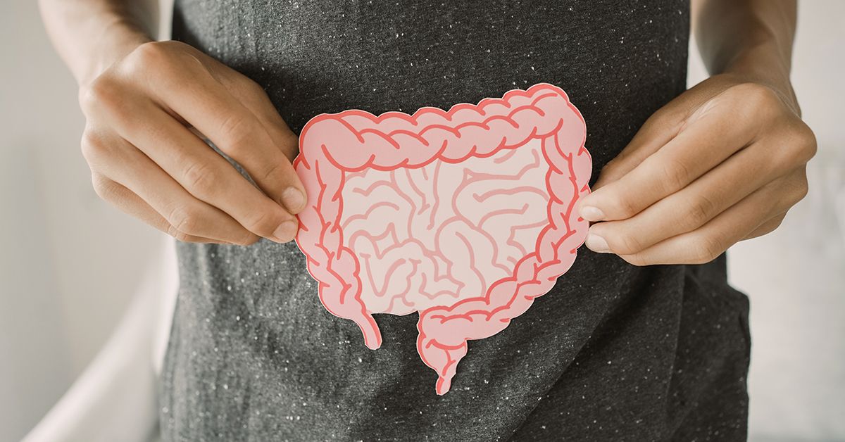 What Does the Appendix Do?