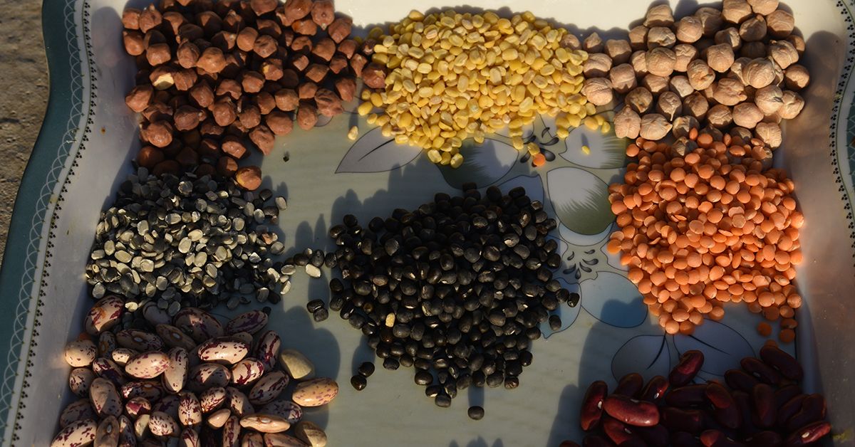 Best Fiber Sources for Older Adults