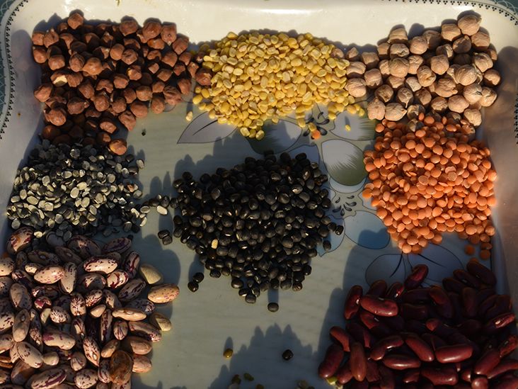 Best Fiber Sources for Older Adults