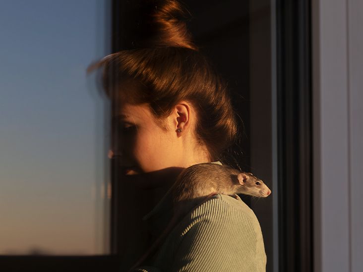 Weil's Disease (Leptospirosis): Symptoms and More