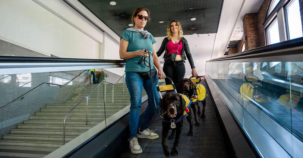 Service Guide Dogs for Low Vision and Blindness