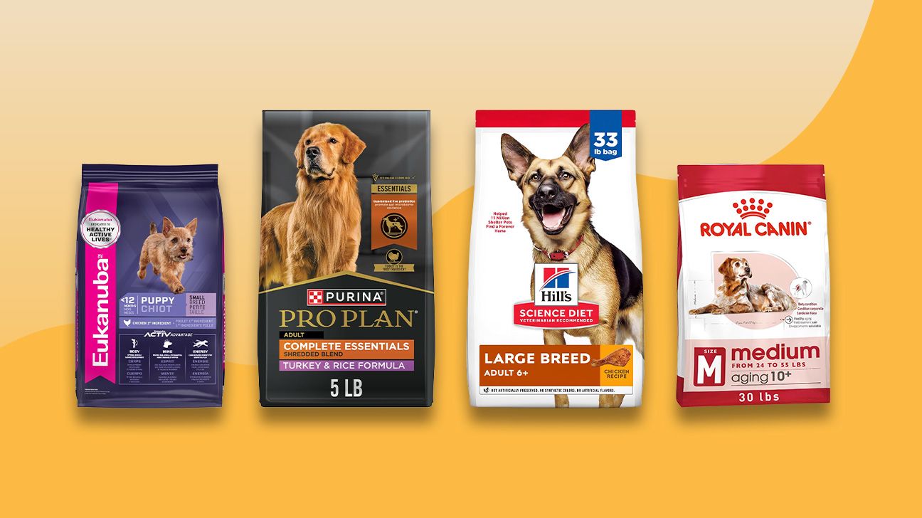 What Are The Best Dog Foods? We Spoke To A Vet
