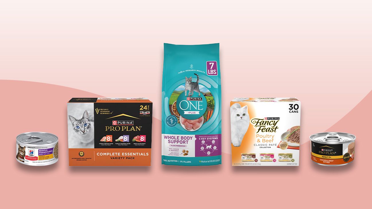 The Best Cat Foods for 2026: A Vet Tells All
