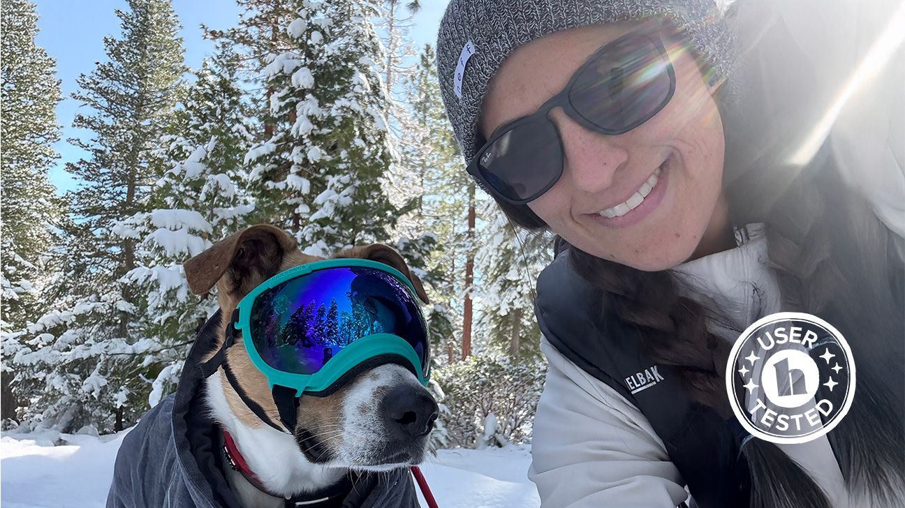 The Best Outdoor Dog Gear for Adventures With Your Pup