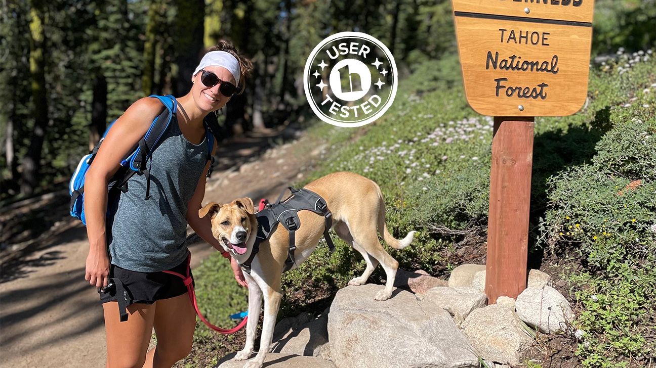 The Best Outdoor Dog Gear for Adventures With Your Pup