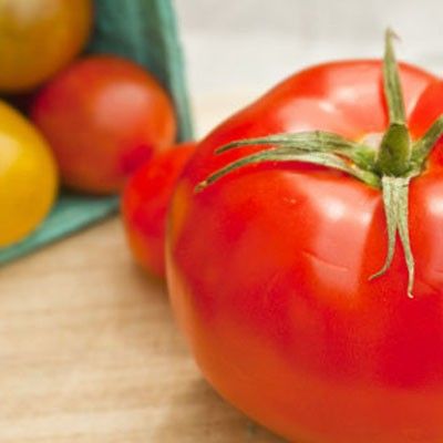 Have Fresh (Local) Tomatoes Year-Round