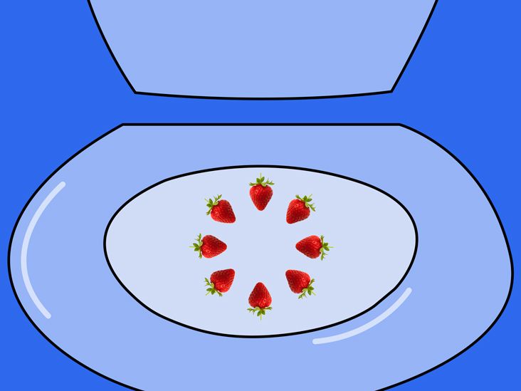 Is Yogurt Good for Constipation? Foods That Might Help